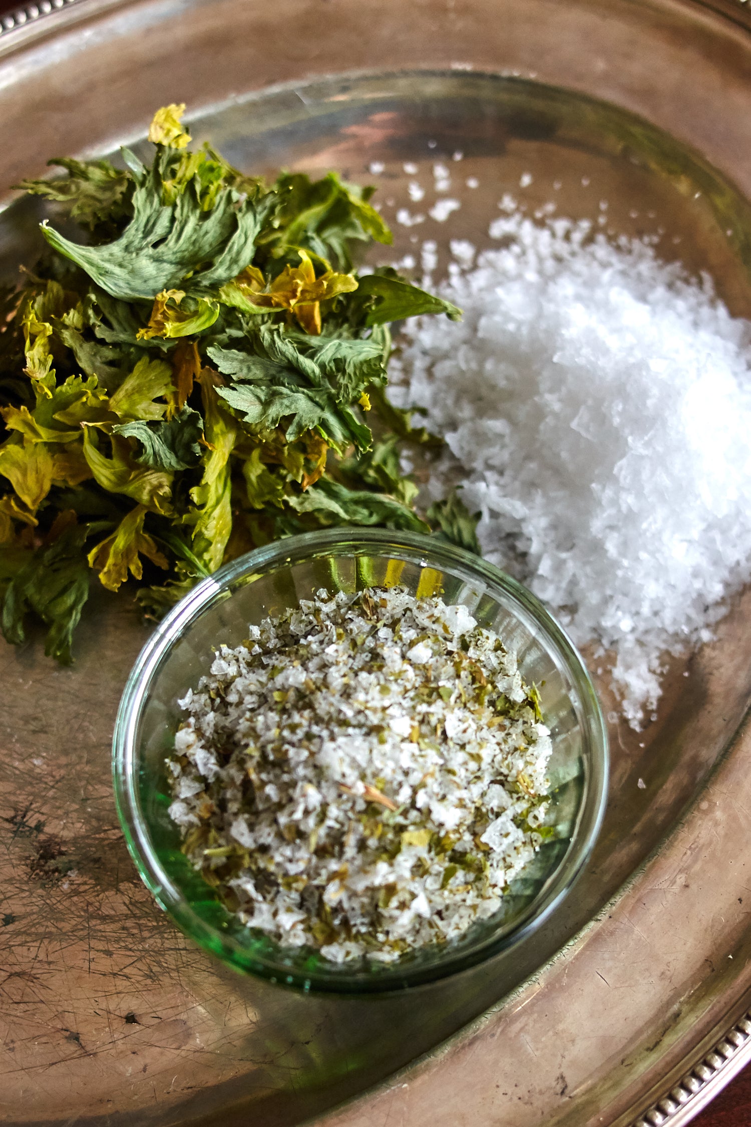 Celery Salt – Earthy Essentials with Lynn Bartley